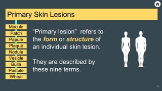 Module_1_Terminology.pdf terminology vvv | PPT