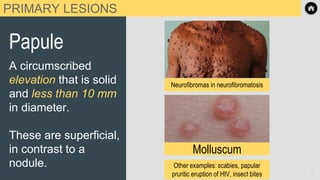 Module_1_Terminology.pdf terminology vvv | PPT