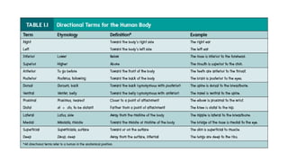 Module 1_The Body Plan_Introduction to Human Anatomy and Physiology.pdf