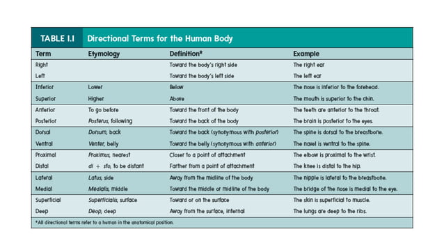Module 1_The Body Plan_Introduction to Human Anatomy and Physiology.pdf ...