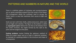 GE 4 Nature of Mathematics The first module | PPTX