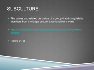 Module 2.1 lecture - Culture | PPTX