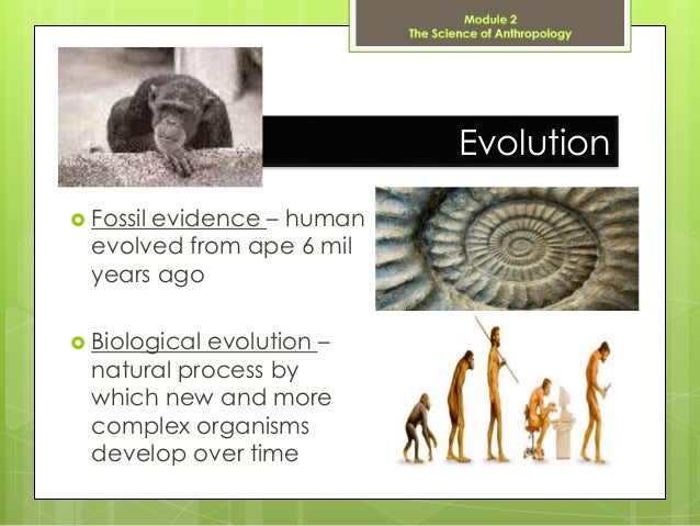 Science of Anthropology