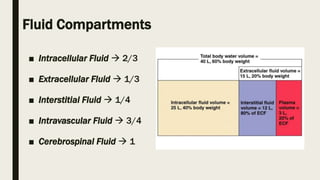 Pathophysiology: Fluid and Electrolyte Imbalance | PPTX