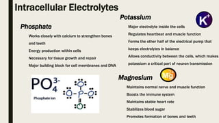 Pathophysiology: Fluid and Electrolyte Imbalance | PPTX