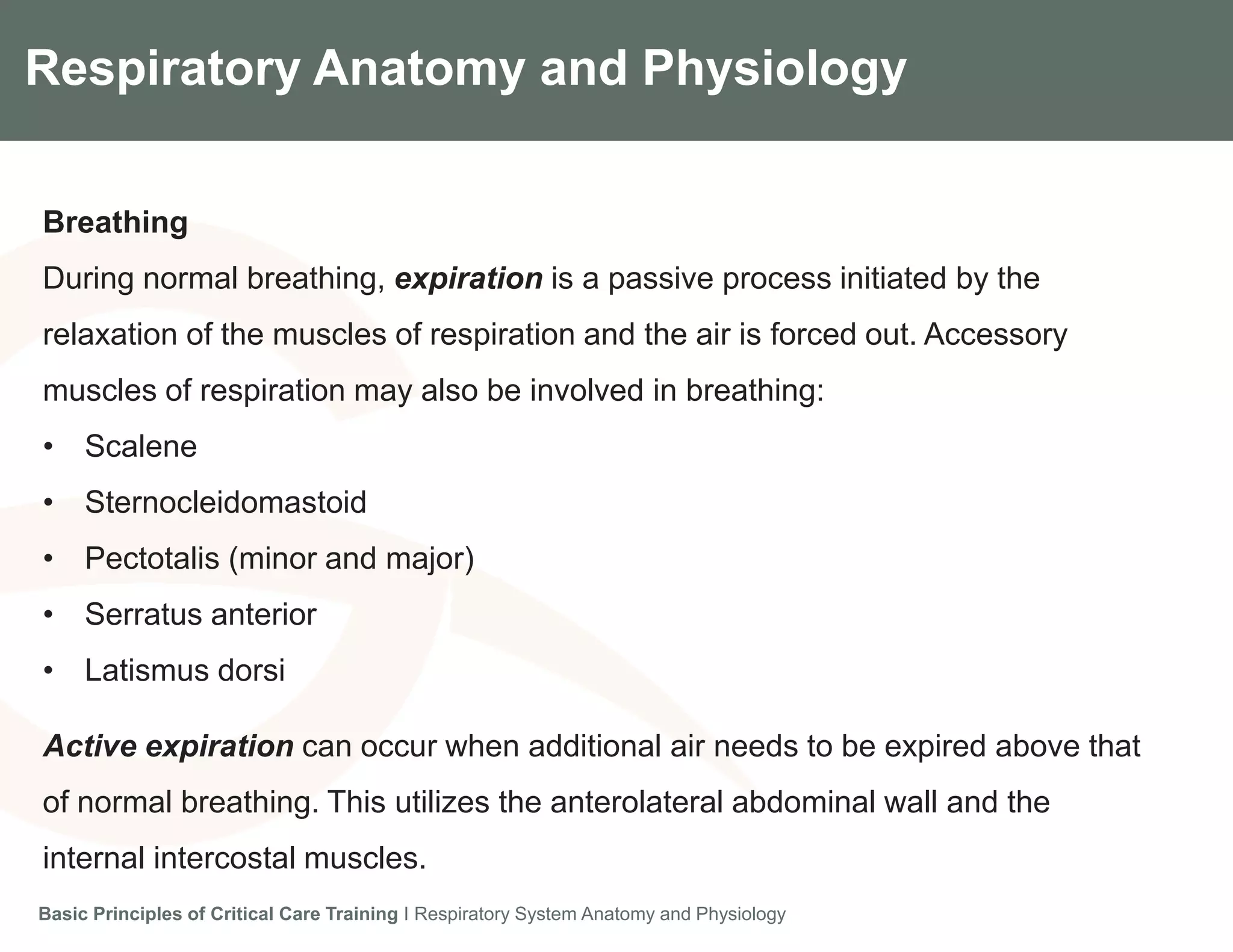 Module 2.1 Respiratory Anatomy & Physiology | PPTX | Lung and ...