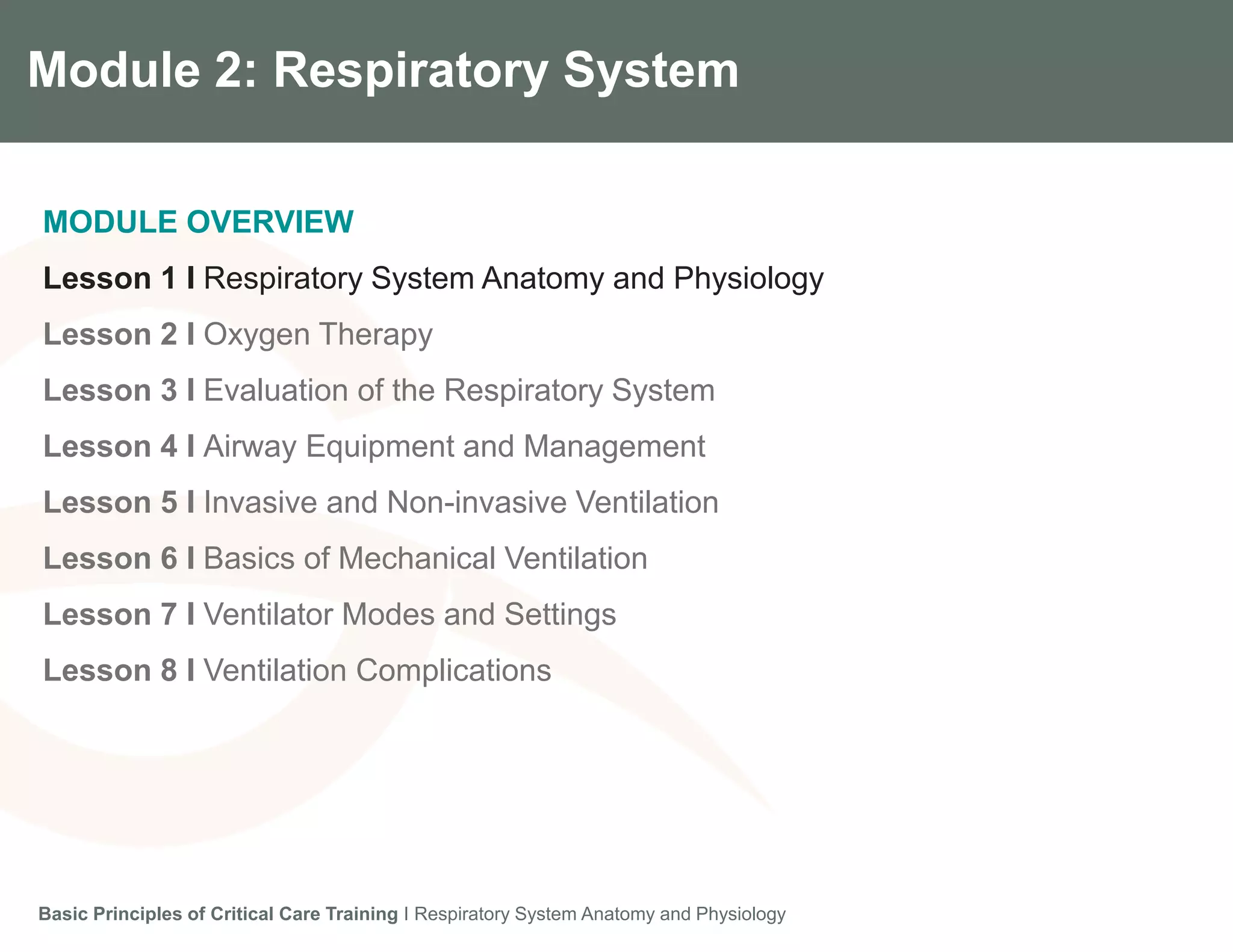 Module 2.1 Respiratory Anatomy & Physiology | PPTX | Lung and ...