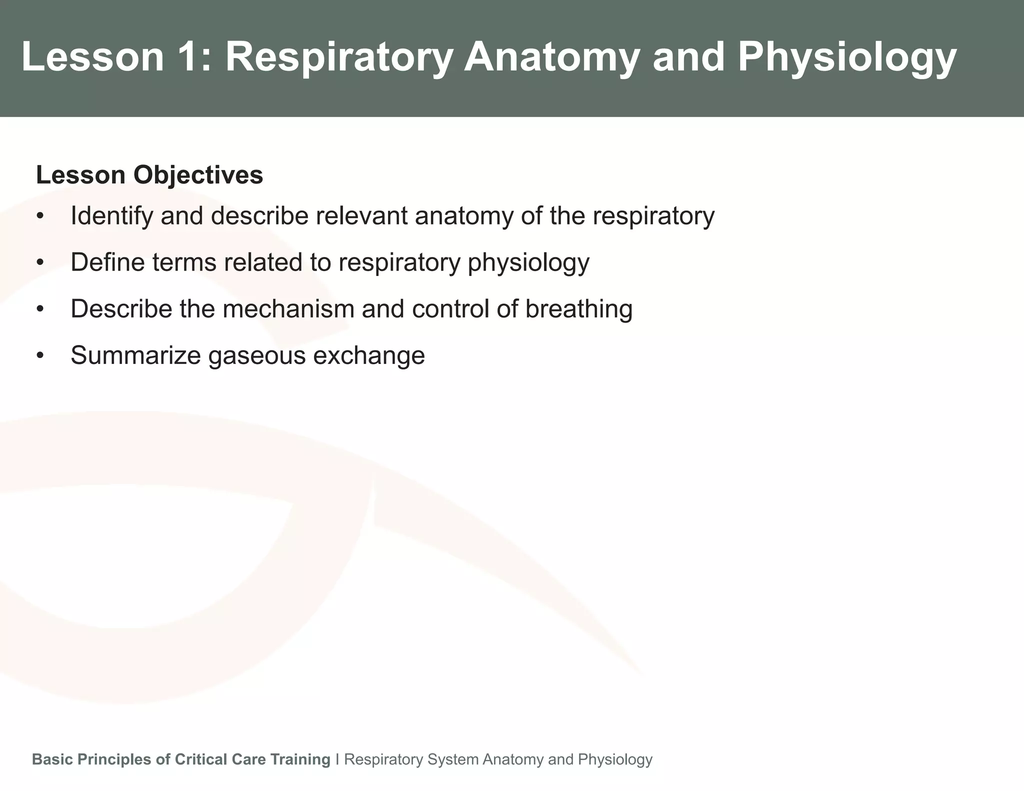 Module 2.1 Respiratory Anatomy & Physiology | PPT