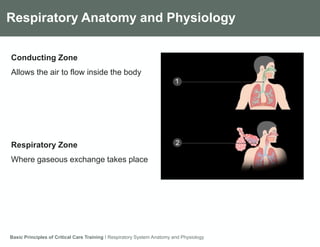 Module 2.1 Respiratory Anatomy & Physiology | PPTX