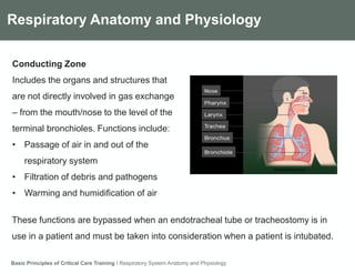 Module 2.1 Respiratory Anatomy & Physiology | PPTX | Lung and ...