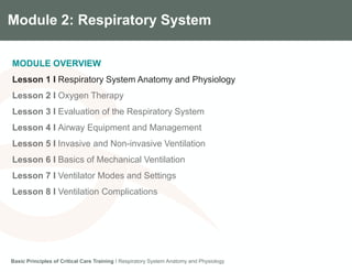 Module 2.1 Respiratory Anatomy & Physiology | PPTX