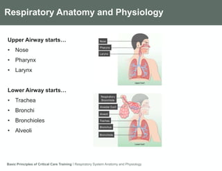 Module 2.1 Respiratory Anatomy & Physiology | PPTX