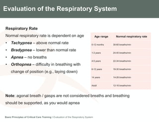 Module 2.3 Evaluation of the Respiratory System | PPTX