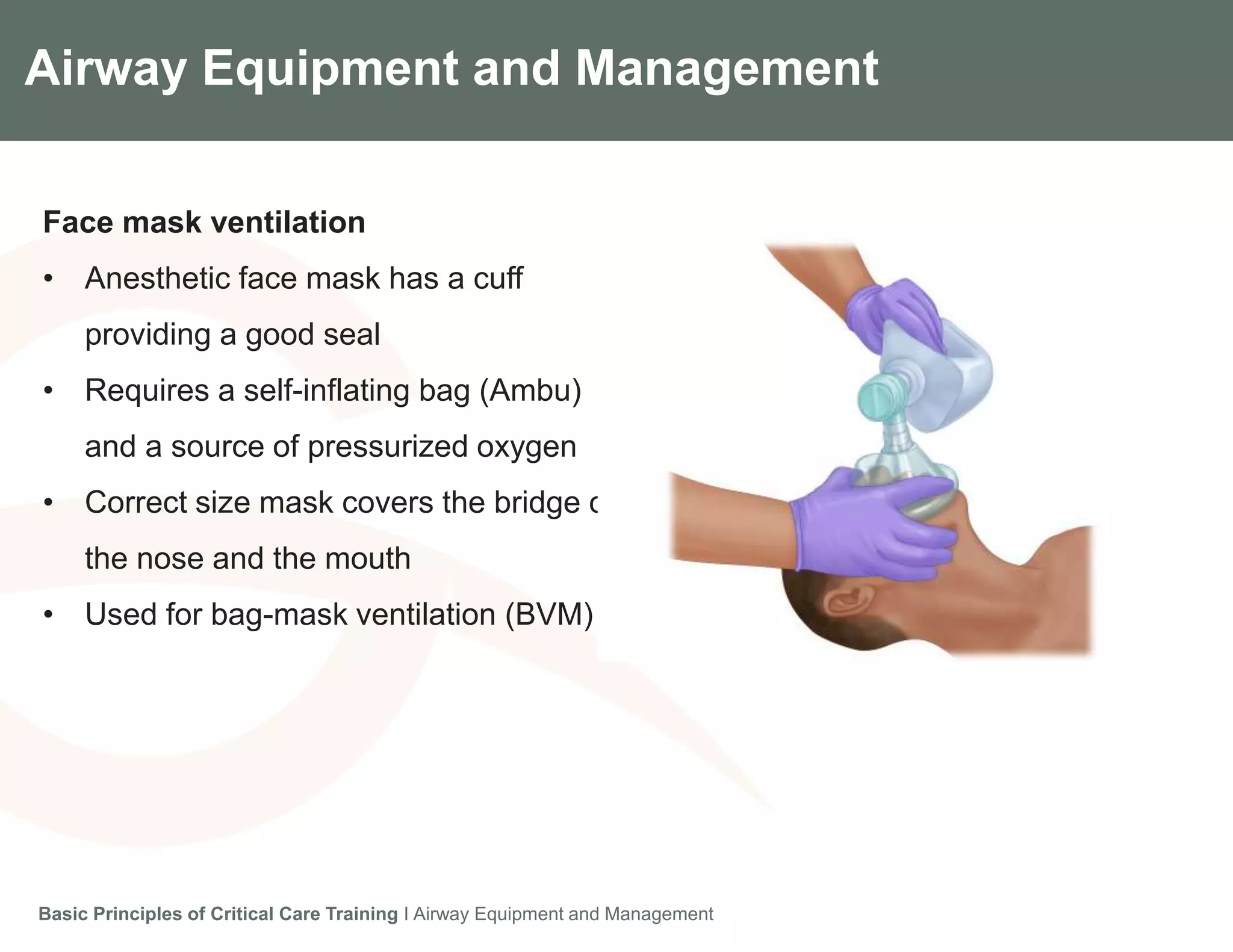 Module 2.4 Airway Equipment & Management | PPTX