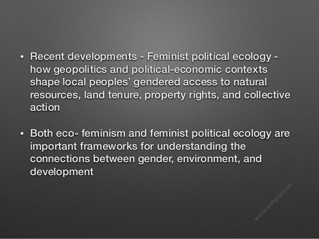 Perspective on Gender | PDF