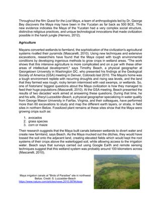 Mesoamerica Civilization (Maya, Aztec and Incan Civilization) | PDF