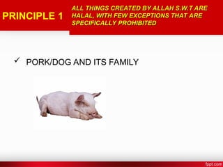 Module 2. Halal Haram PrinciplesSSSSSSSSSSSSSS.ppt