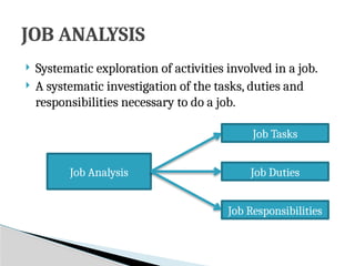 Module 2.pptx Organisational Behaviour ob | PPTX