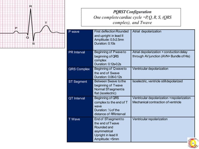 Module 2 interpreting ecg rythm strips-1-converted | PPTX