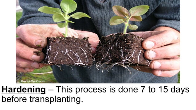 TECHNOLOGY LIVELIHOOD EDUCATION Module 2 - Lesson 1.pptx