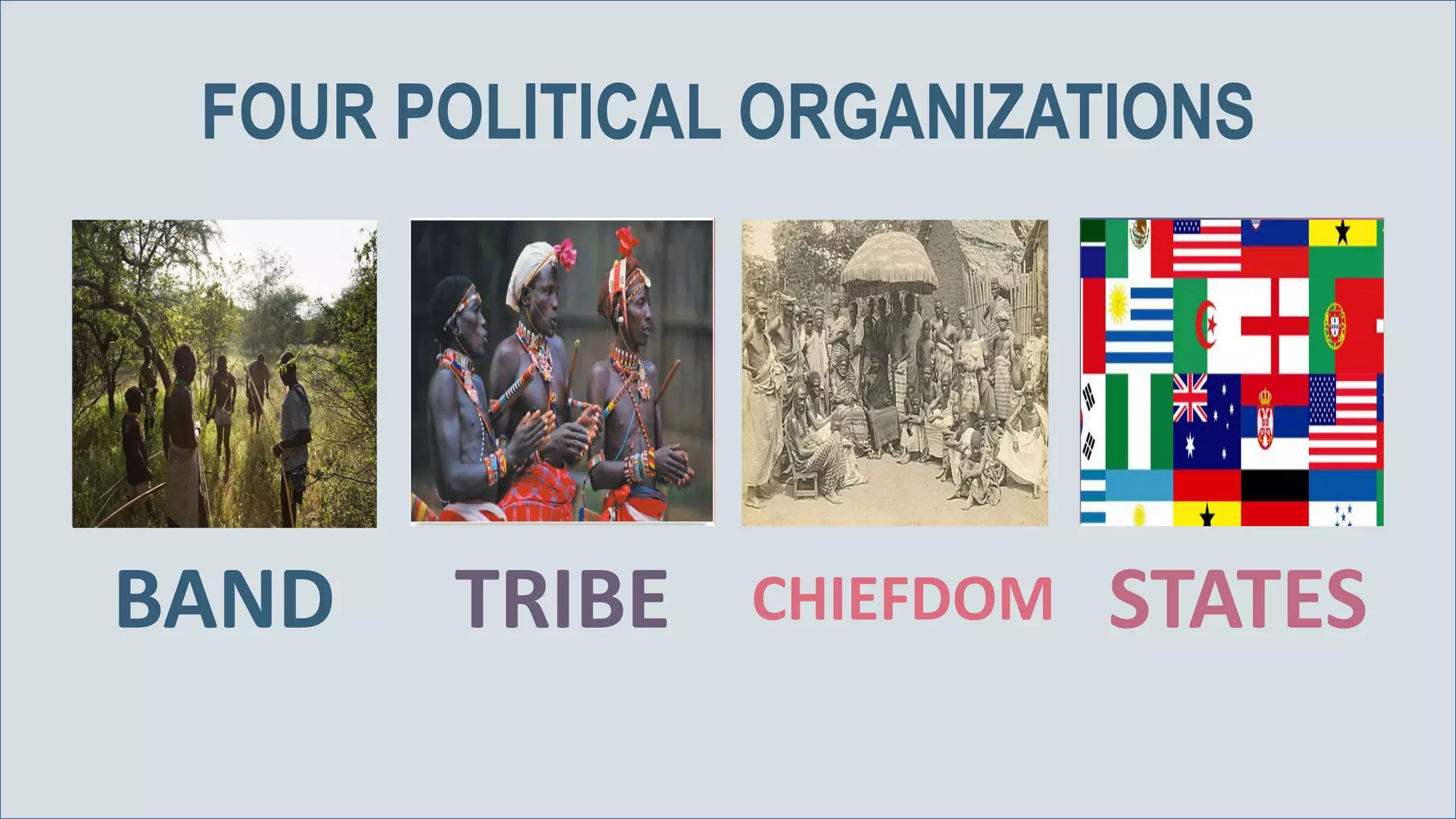 Module 2 - Political Organization and Authority and Legitimacy.pptx