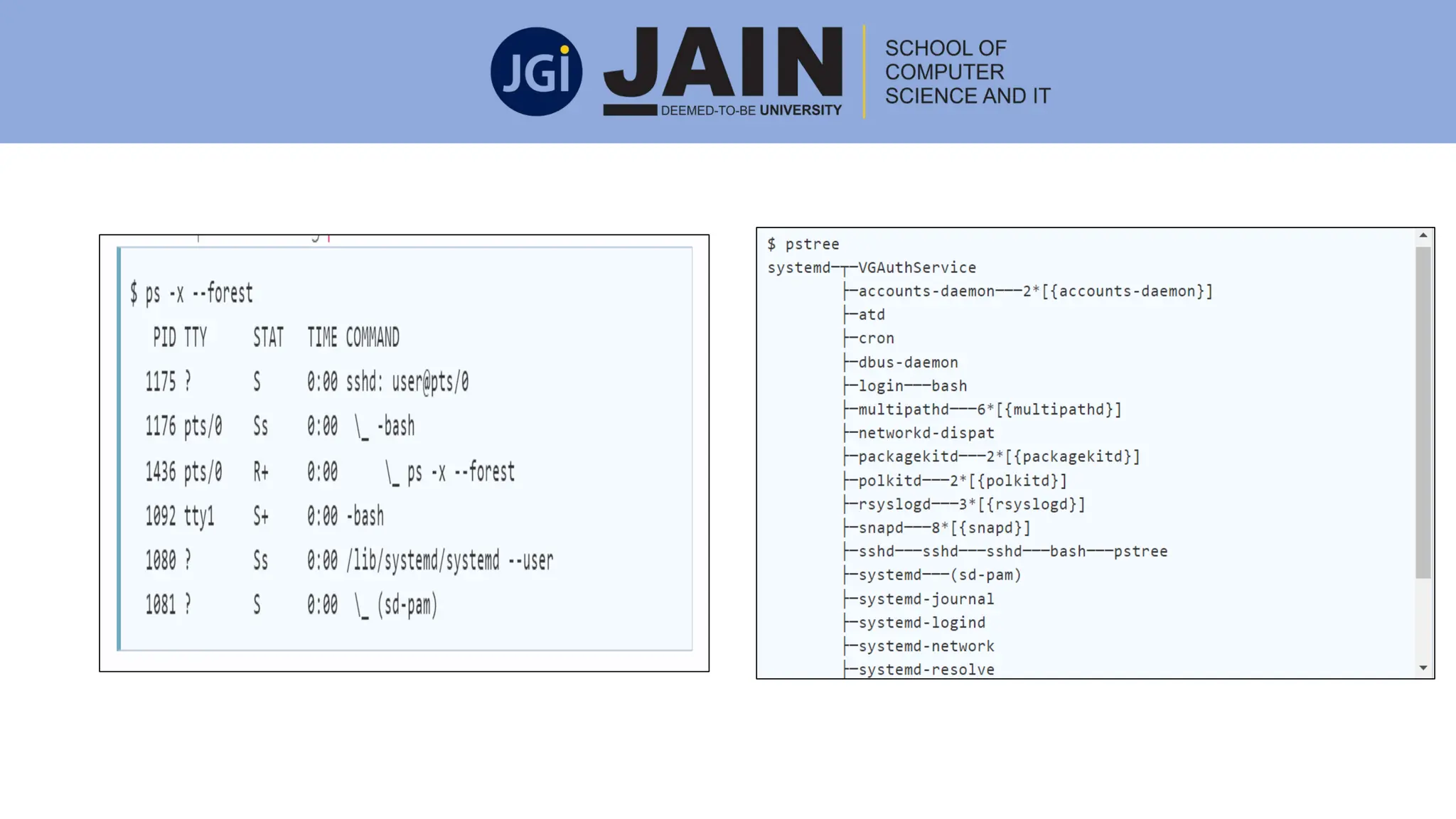 Module 2 - PPT.pdfModule 2 - PPT.pdfModule 2 - PPT.pdfModule 2 - PPT ...