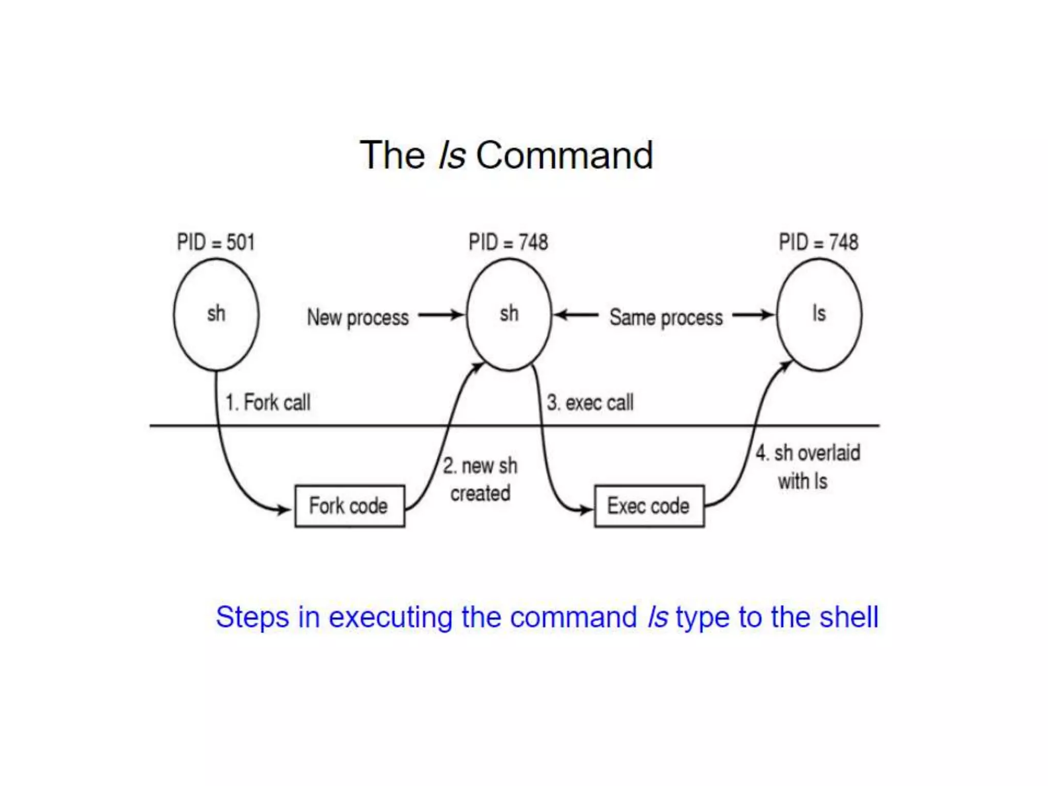 Unix- the process | PPTX
