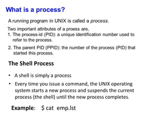 Unix- the process | PPTX | Operating Systems | Computer Software and Applications