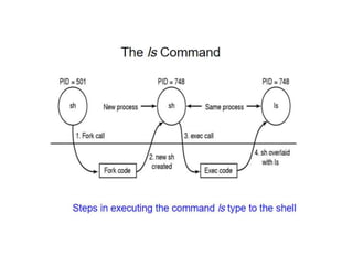 Unix- the process | PPTX | Operating Systems | Computer Software and ...