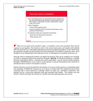 Module 20 (buffer overflows) | PDF | Programming Languages | Computing