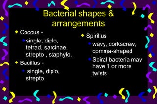 Module 2a cytology & physiology | PPT