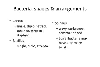 Module 2 bacterial cytology & physiology | PPT