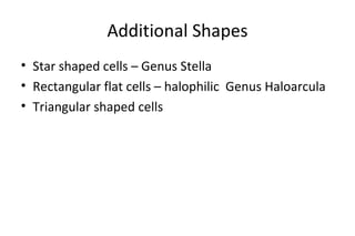 Module 2 bacterial cytology & physiology | PPT | Free Download