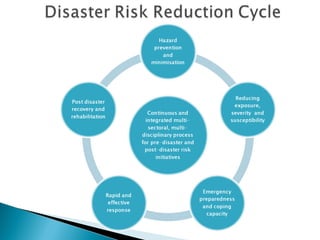 Disaster Risk Reduction | PPT