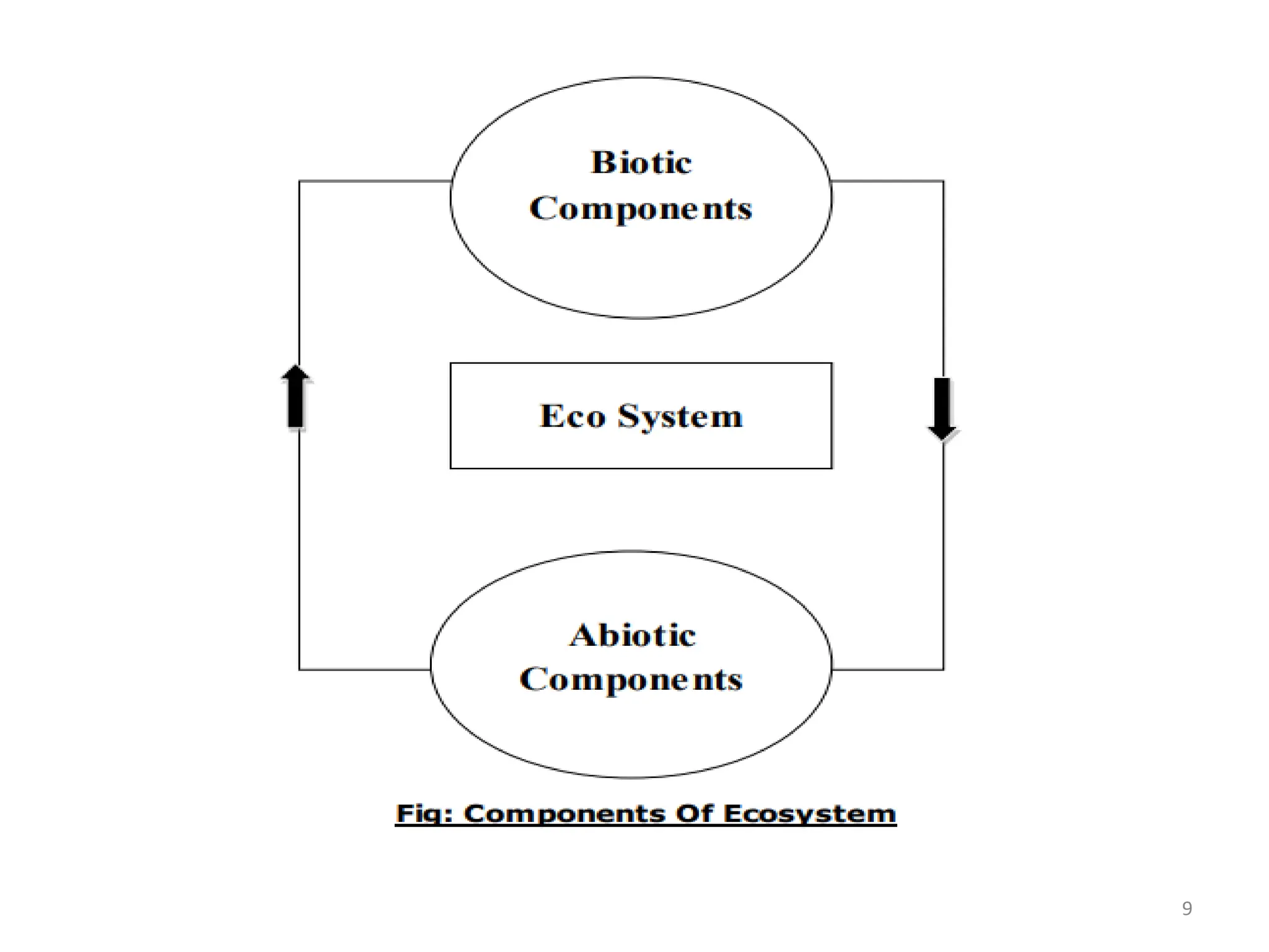module 2 environmental studies /Ecosystem | PPT