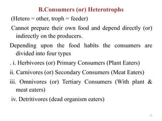 module 2 environmental studies /Ecosystem | PDF