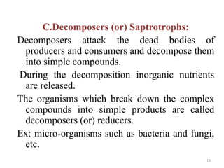 module 2 environmental studies /Ecosystem | PPT
