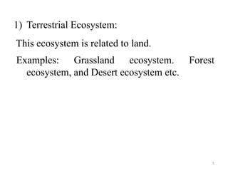 module 2 environmental studies /Ecosystem | PPT