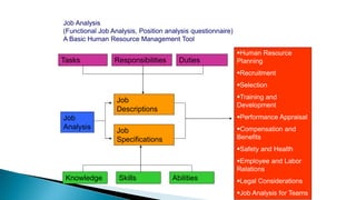 Module 2 HRM.pptxdrftgkdcfvgbhnjmkhgftrdtyu | PPT