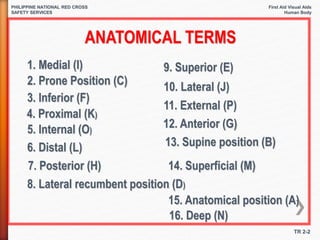 Module 2 human body | PPT