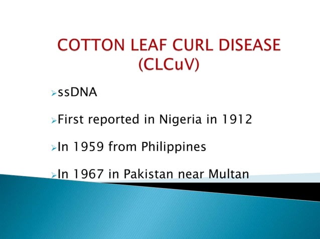 Module 2nd,,, plant viruses | PPT