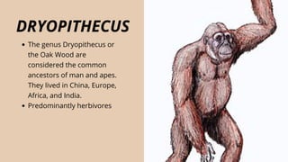 Module 2 Biology and Human Evolutionn pptn | PDF