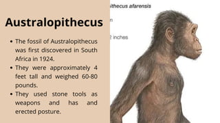 Module 2 PPT Cultural and Biological Evolution | PDF