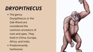 Module 2 PPT Cultural and Biological Evolution | PDF