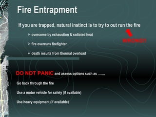 Module 2 Safety | PPT | Medical Health