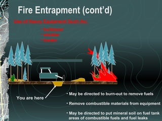Module 2 Safety | PPT