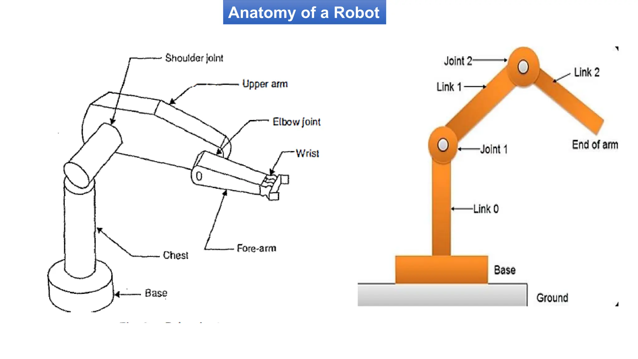 Robot Anatomy And Motion Analysis.pptx