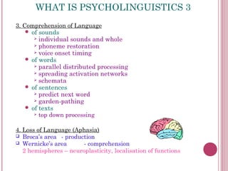 CTS-Academic: Module 2 session 8 psycholinguistics | PPT