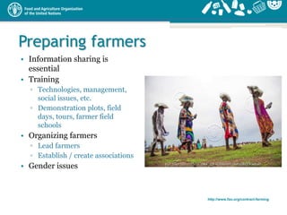 Module 2: How to set up a contract farming scheme | PPTX | Agriculture ...