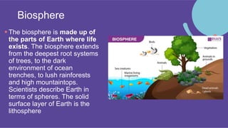 Module 2 The Subsystem.pptx